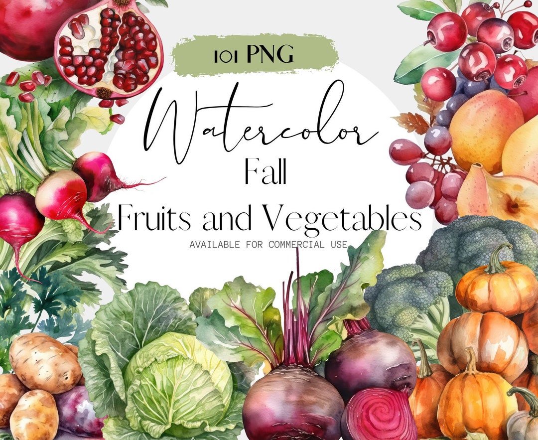 Watercolor Fall Fruits & Vegetables Clipart: 101 Pngs (digital Download ...