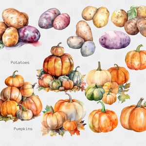 Watercolor Fall Fruits & Vegetables Clipart: 101 Pngs (digital Download ...