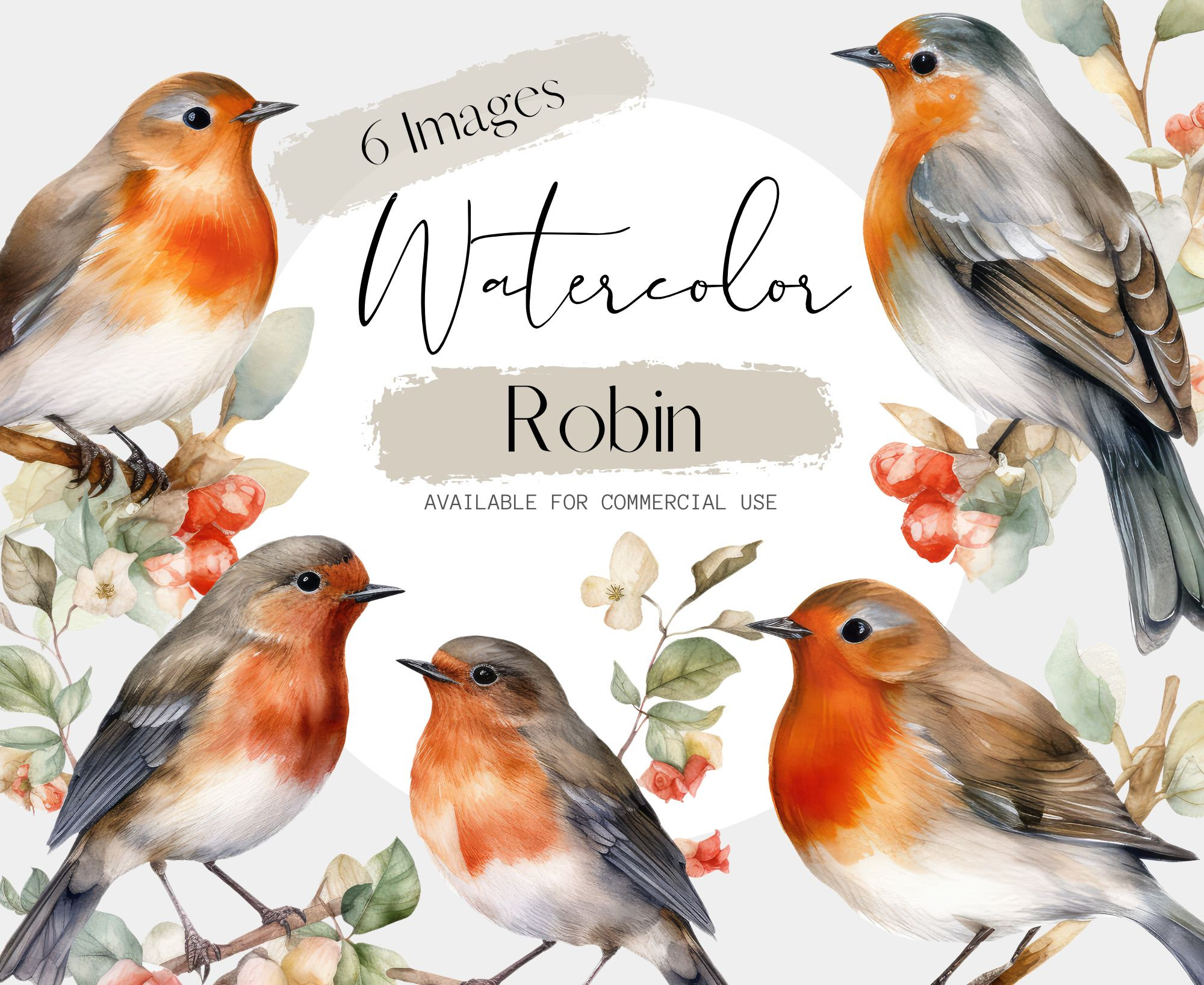 Watercolor Robins Bird Clipart With Transaprent Background - Etsy