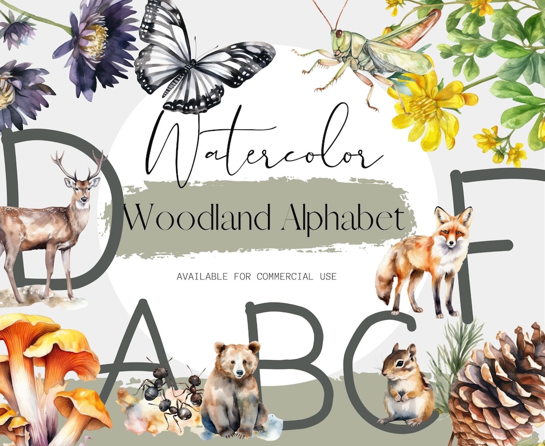 Forest Animals ABC Watercolor Clipart With Transparent Background ...