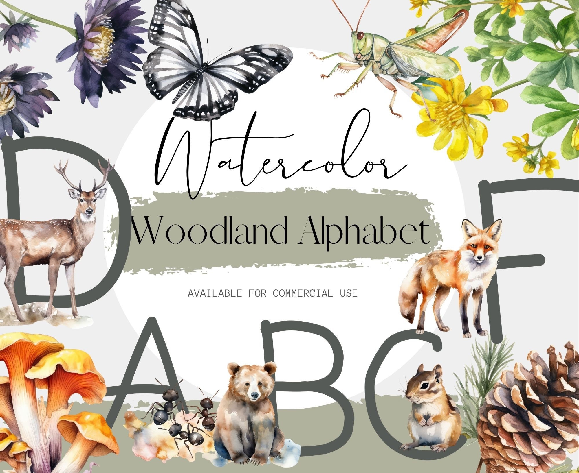 Forest Animals ABC Watercolor Clipart With Transparent Background ...