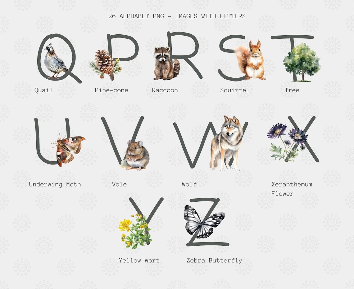 Forest Animals ABC Watercolor Clipart With Transparent Background ...