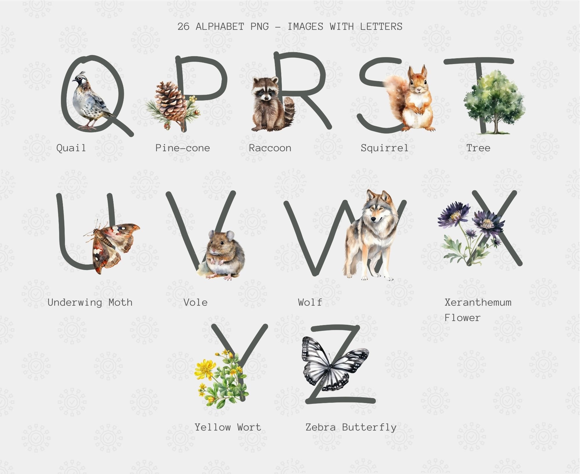 Forest Animals ABC Watercolor Clipart With Transparent Background ...