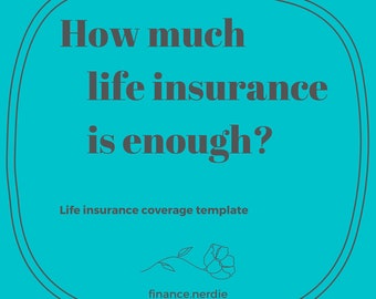 Insurance Excel - Etsy