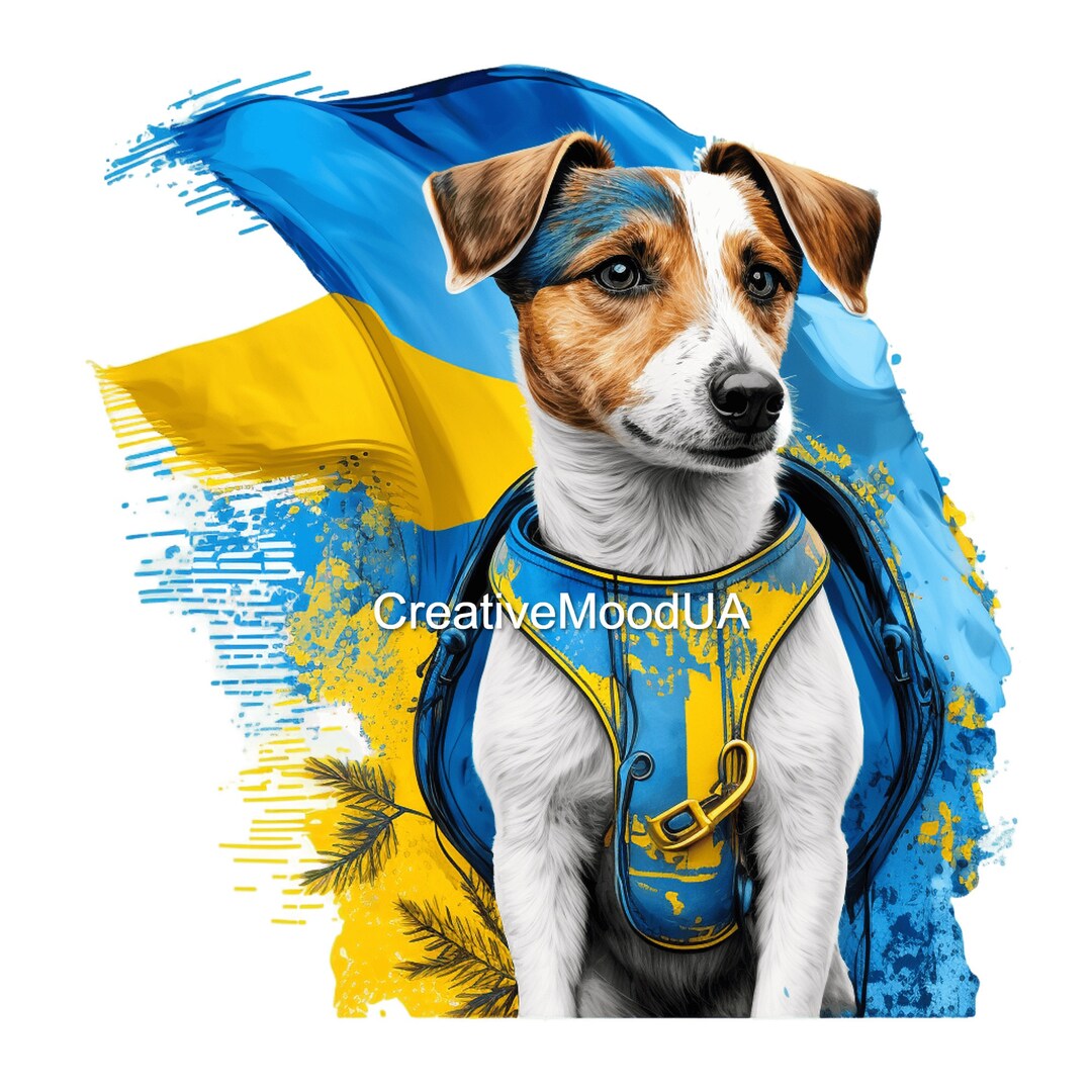 Service Dog PNG Dog Patron Jack Russell Terrier Breed From Ukraine ...