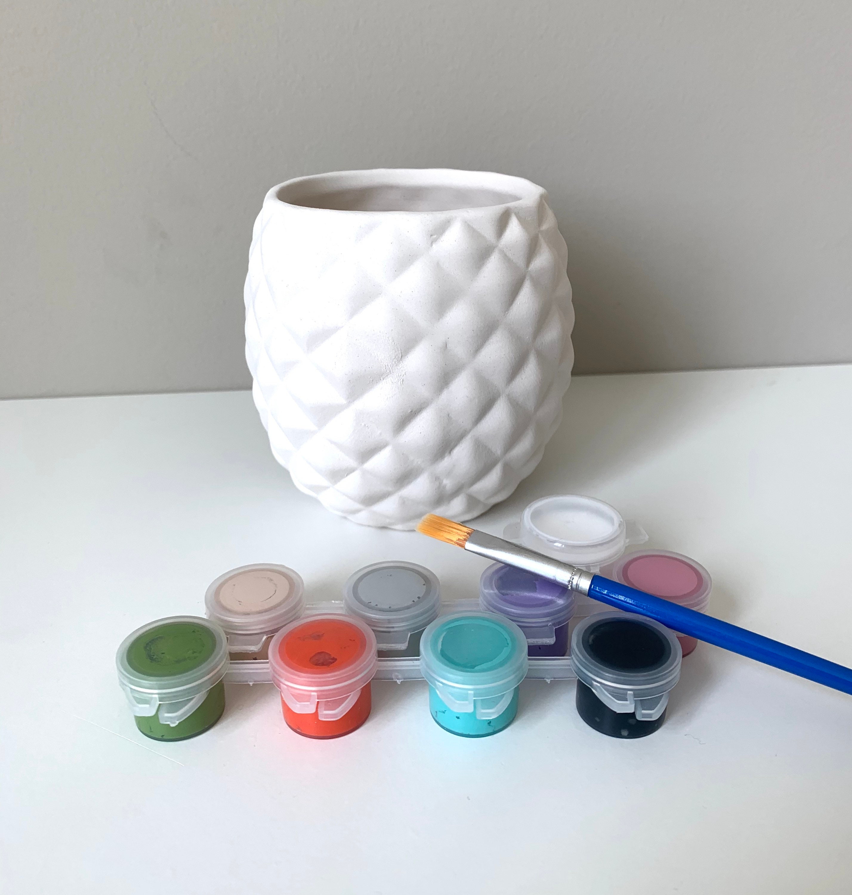 DIY Pottery Painting Kit, Succulent Planter Kit, Virtual Paint and Sip ...