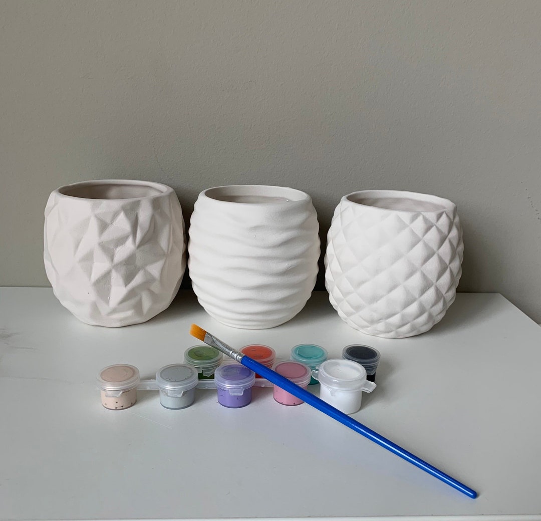 DIY Pottery Painting Kit, Succulent Planter Kit, Virtual Paint and Sip ...