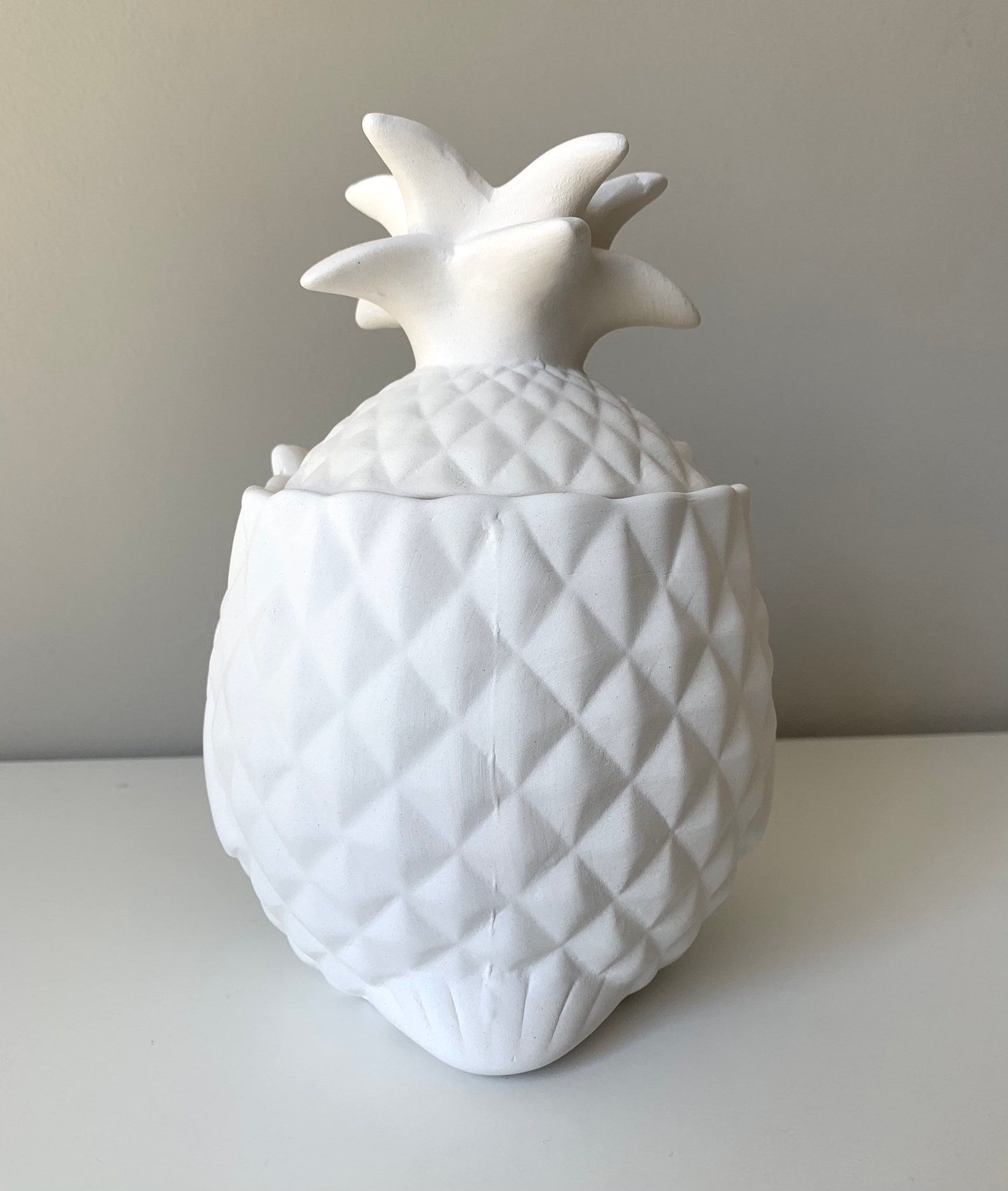 Pineapple Pottery Painting Kit at Home Pottery Painting Kit - Etsy