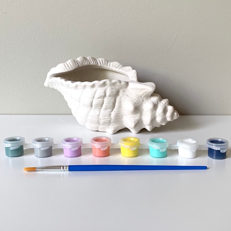 Conch Shell Planter - Etsy