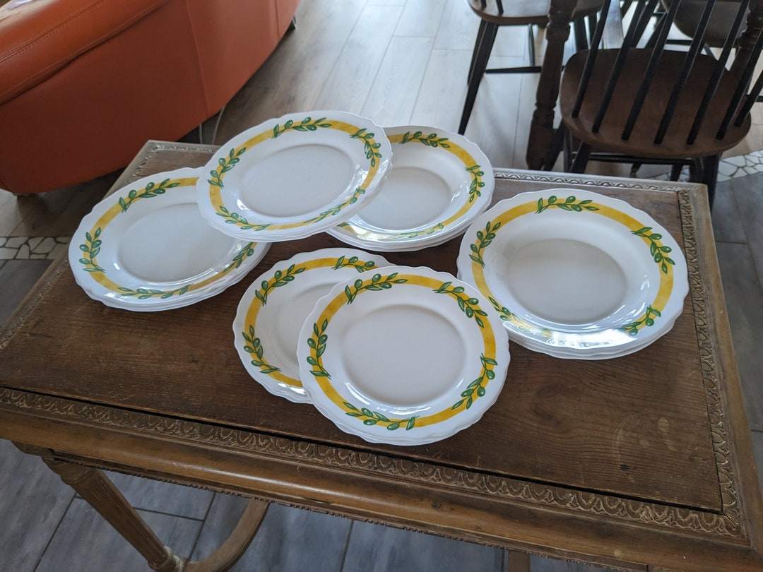 Service of 18 Vintage Plates by Arcopal - Etsy