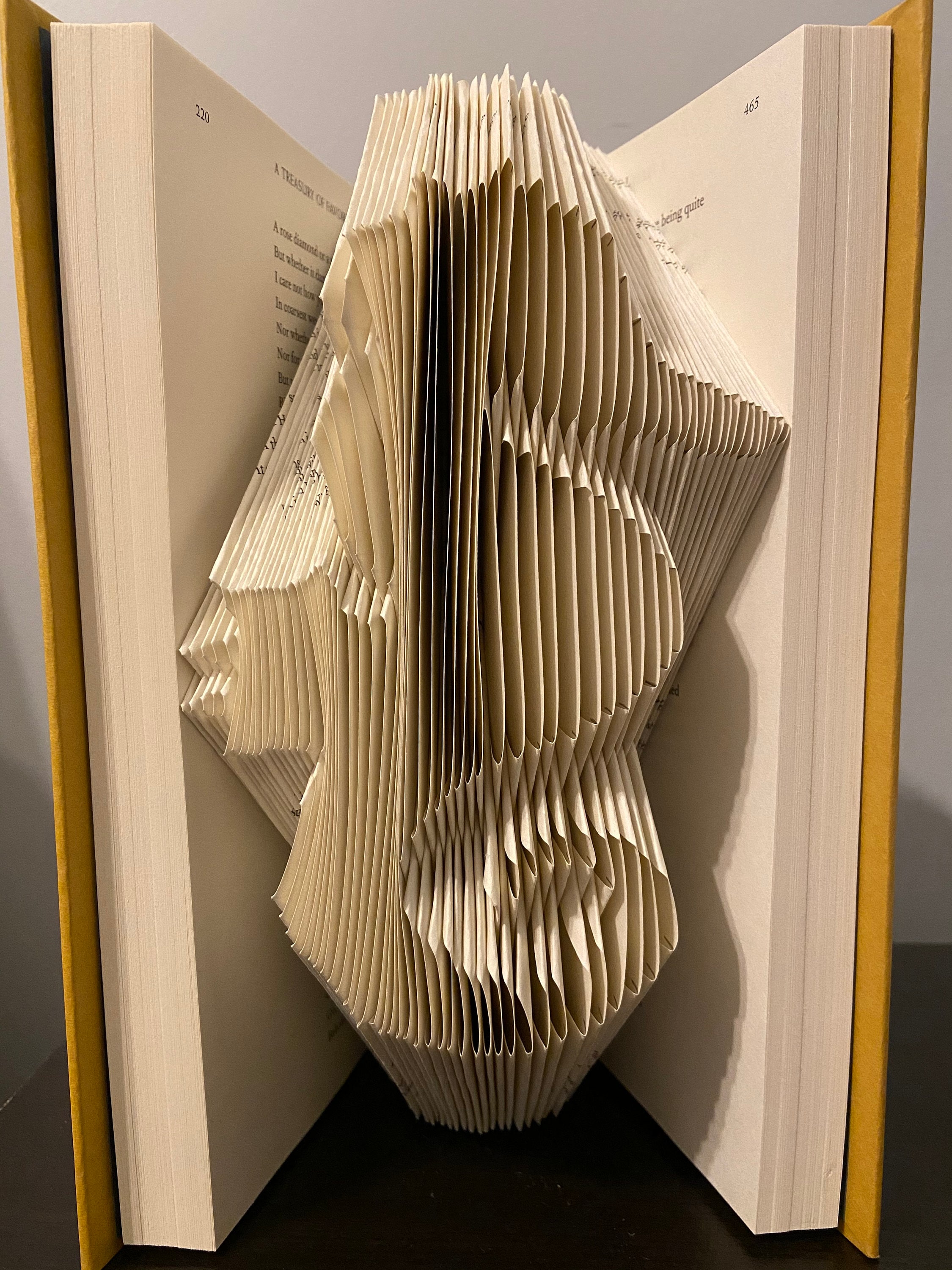 Seahorse Folded Book - Etsy