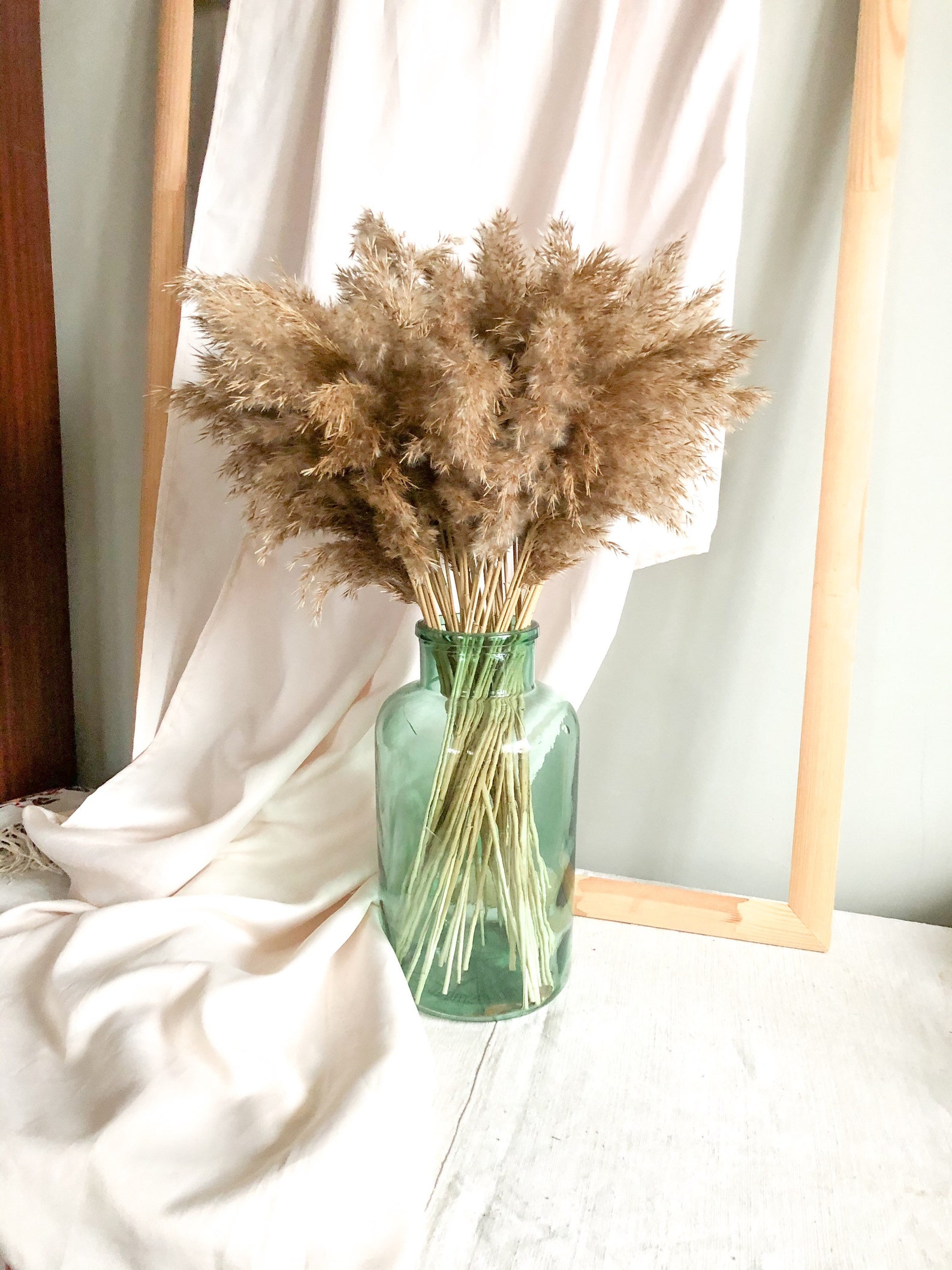 Mini Feather Reeds Grass 25PC Decorative Plumes Real Dried - Etsy