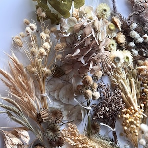 Dried Flower Box , DIY Material Craft Pack, Mini Preserved Flower, Dry ...