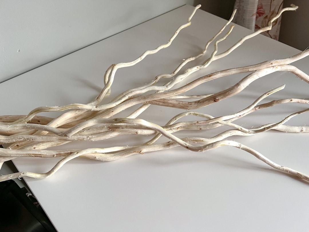 Curly Willow Branches 11pc | Real Dried Branches | Scandinavian Home ...