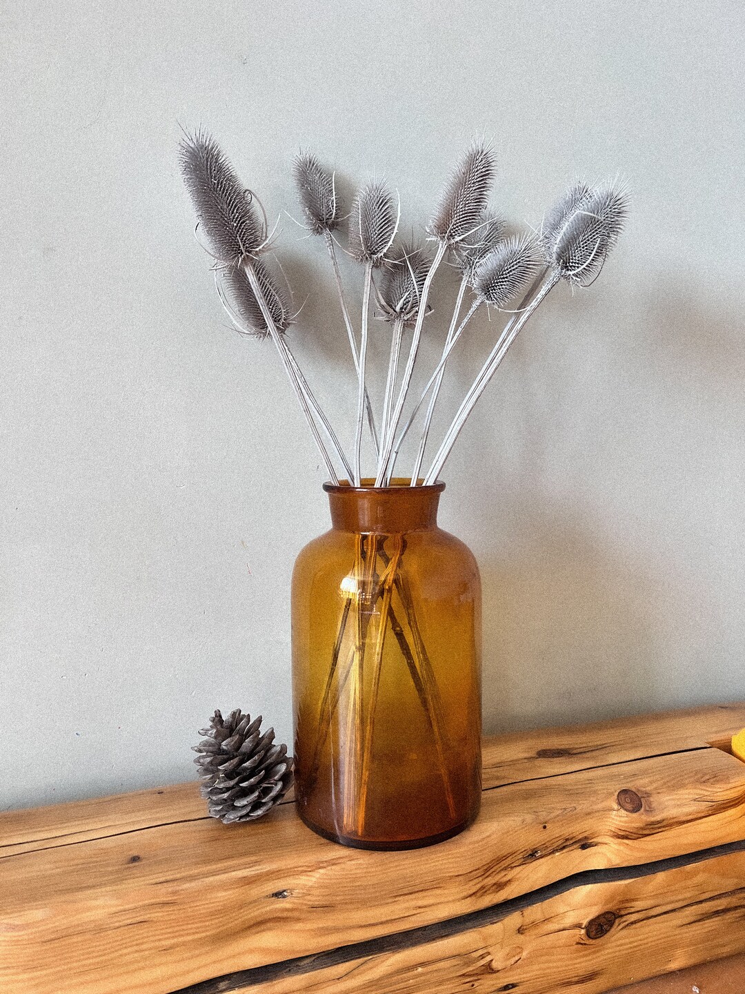 Grey Thistle | Gray Dried Thistle | Boho Decor for Home - Etsy