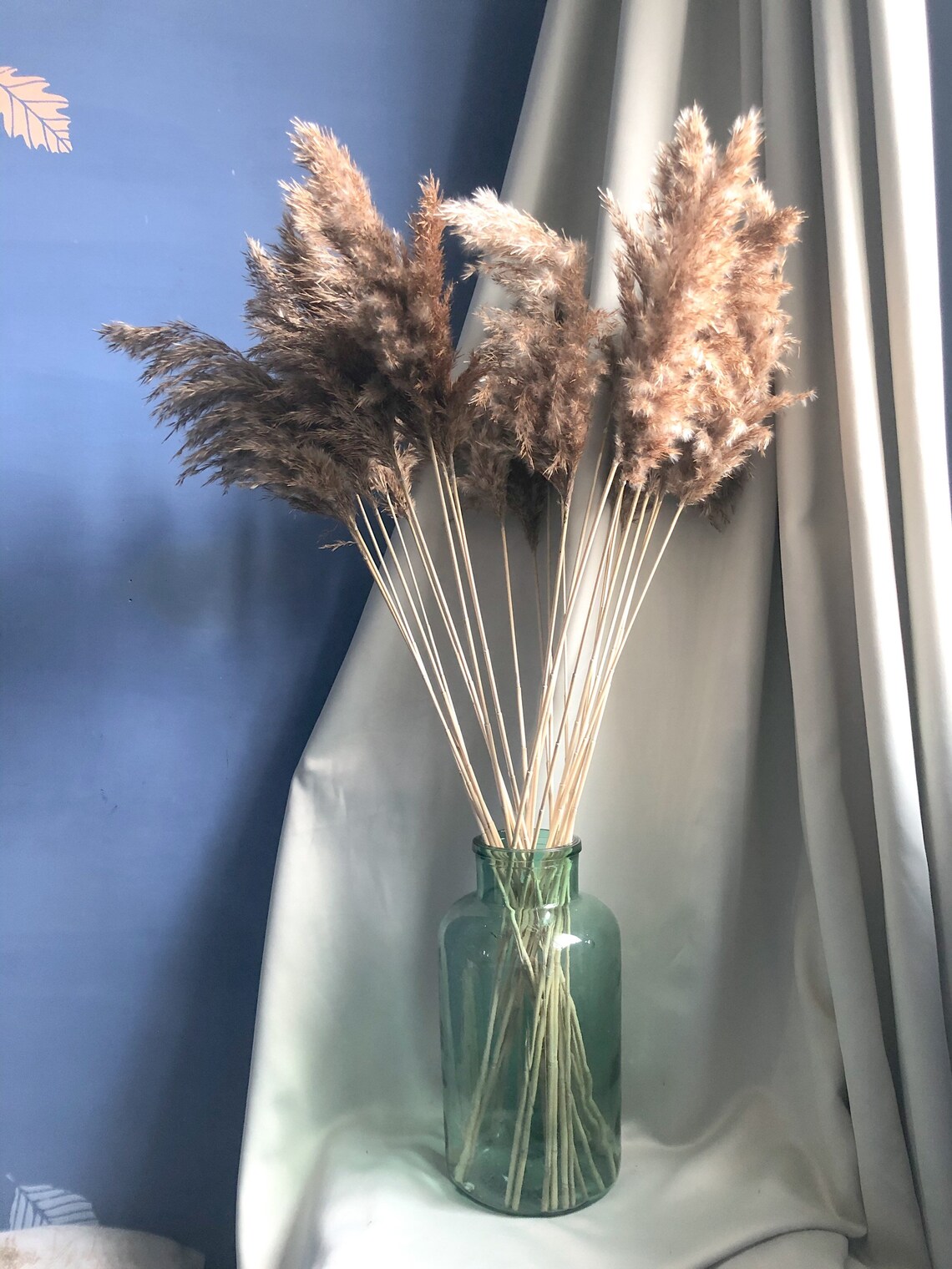 Mini Feather Reeds Grass 25PC Decorative Plumes Real Dried - Etsy