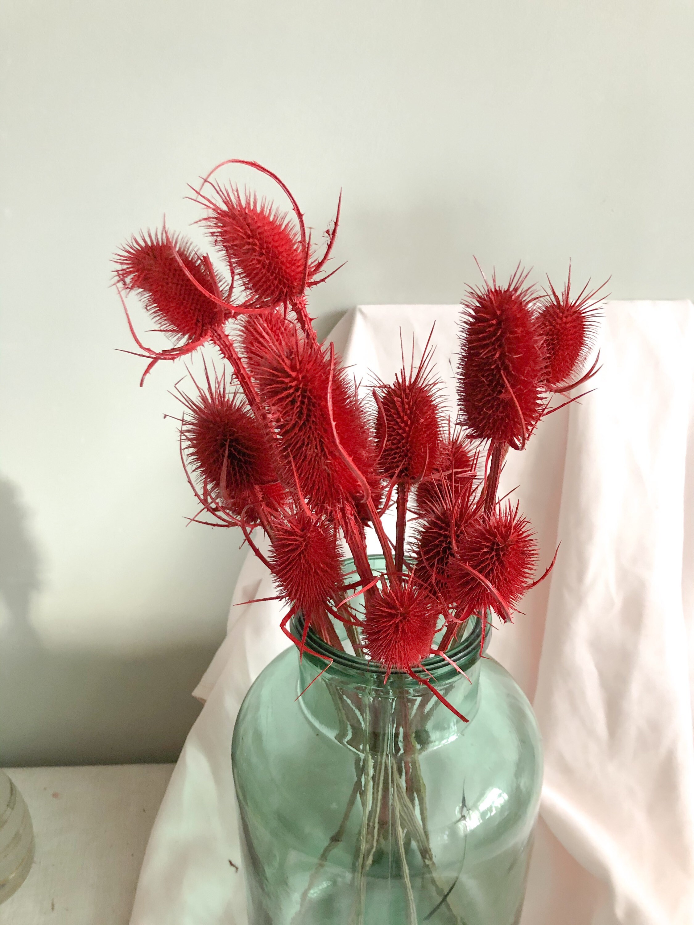 Red Thistle 11PC Real Dried Thistle Boho Decor for Home - Etsy UK