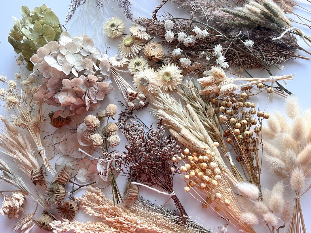 Dried Flower Box , DIY Material Craft Pack, Mini Preserved Flower, Dry ...