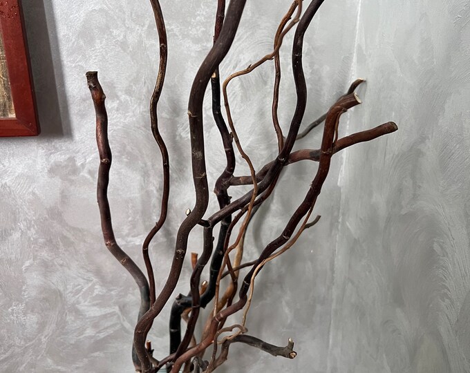 Curly Willow Branches 12pc | Real Dried Branches | Scandinavian Home ...