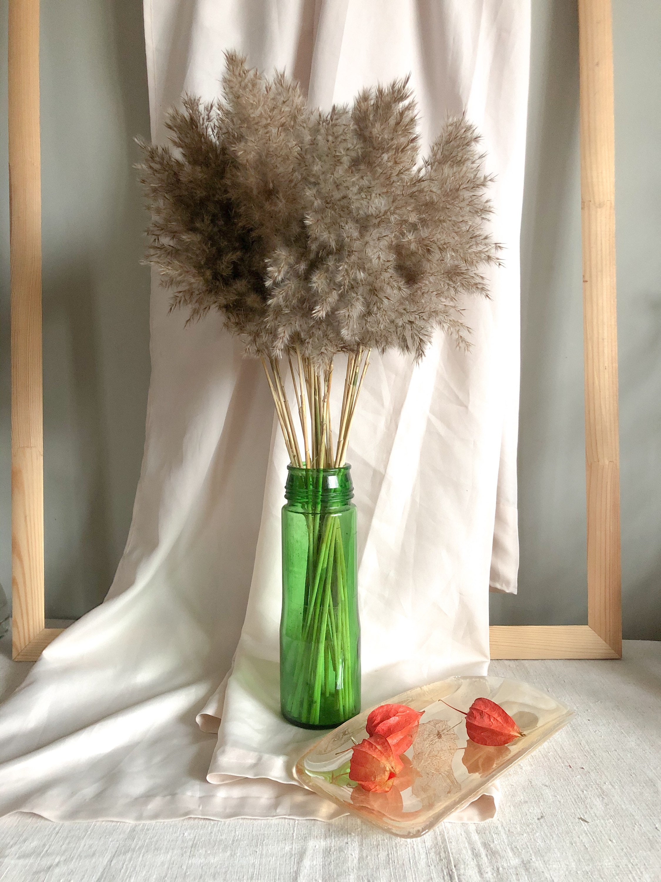 Mini Feather Reeds Grass 25PC Decorative Plumes Real | Etsy