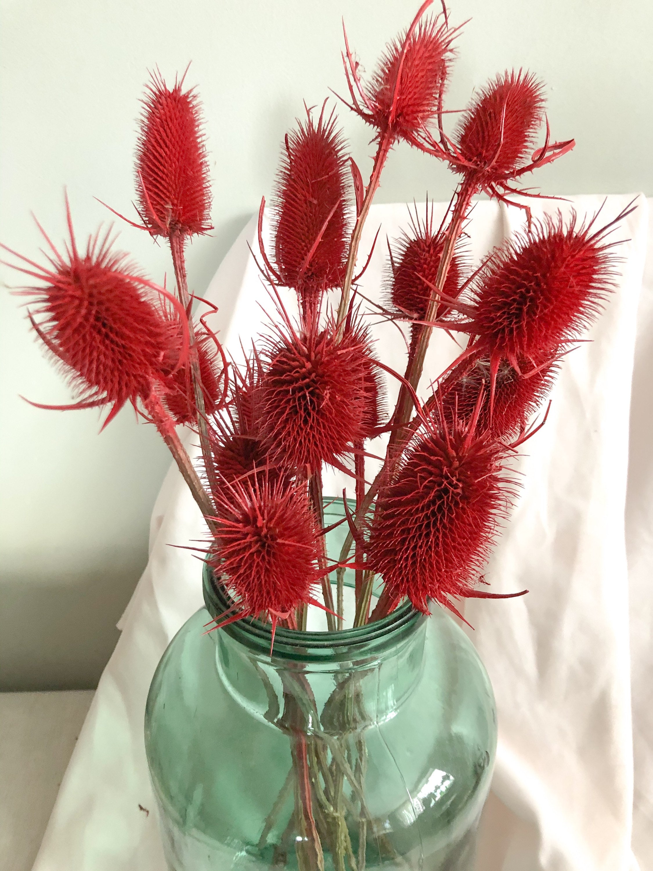 Red Thistle 11PC Real Dried Thistle Boho Decor for Home - Etsy UK