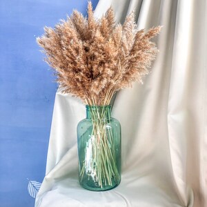 Mini Feather Reeds Grass 50PC Decorative Plumes Real Dried Grass Boho ...