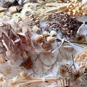 Dried Flower Box , DIY Material Craft Pack, Mini Preserved Flower, Dry ...