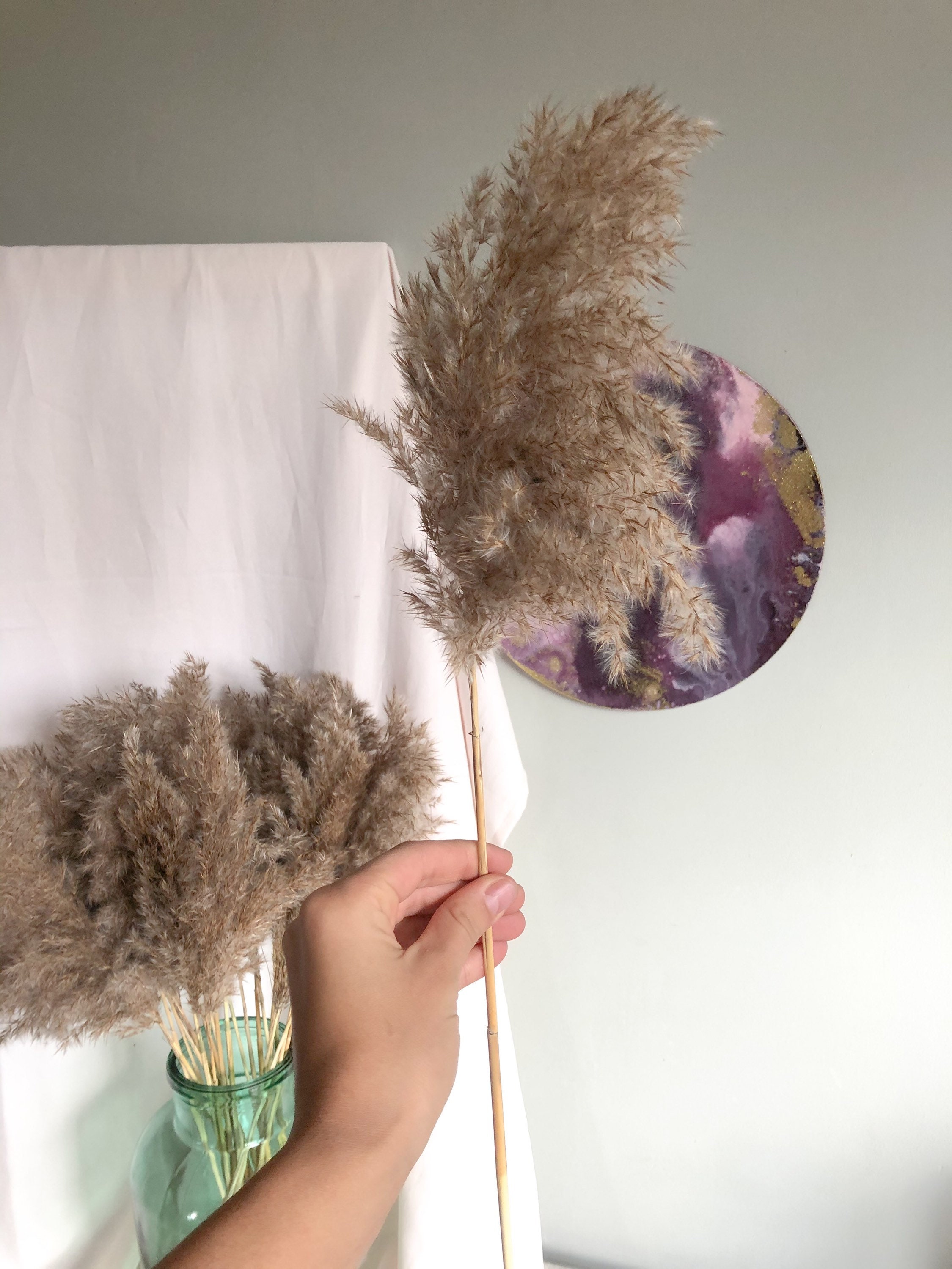 Mini Feather Reeds Grass 25PC Decorative Plumes Real | Etsy