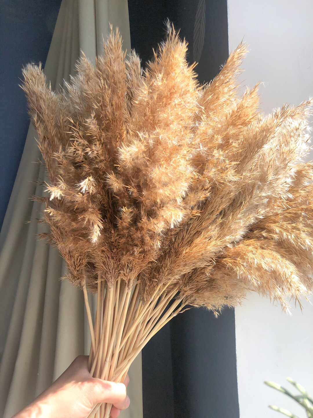 Mini Feather Reeds Grass 50PC | Decorative Plumes | Real Dried Grass ...