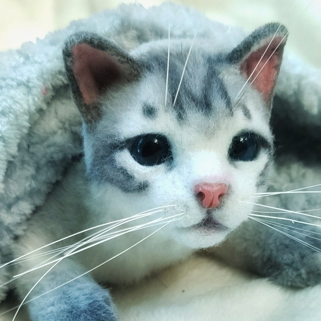 Little Kitty. Collectible Realistic Toy. Poseable Animals Toy by Photo ...