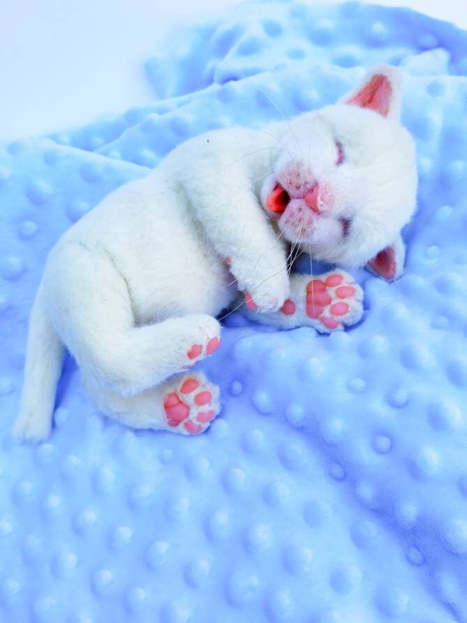 Newborn Kitten. Collectible Realistic Toy. Poseable Animals Toy by ...