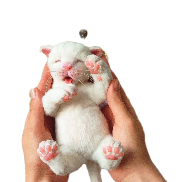 Realistic Cat Squishy - Etsy