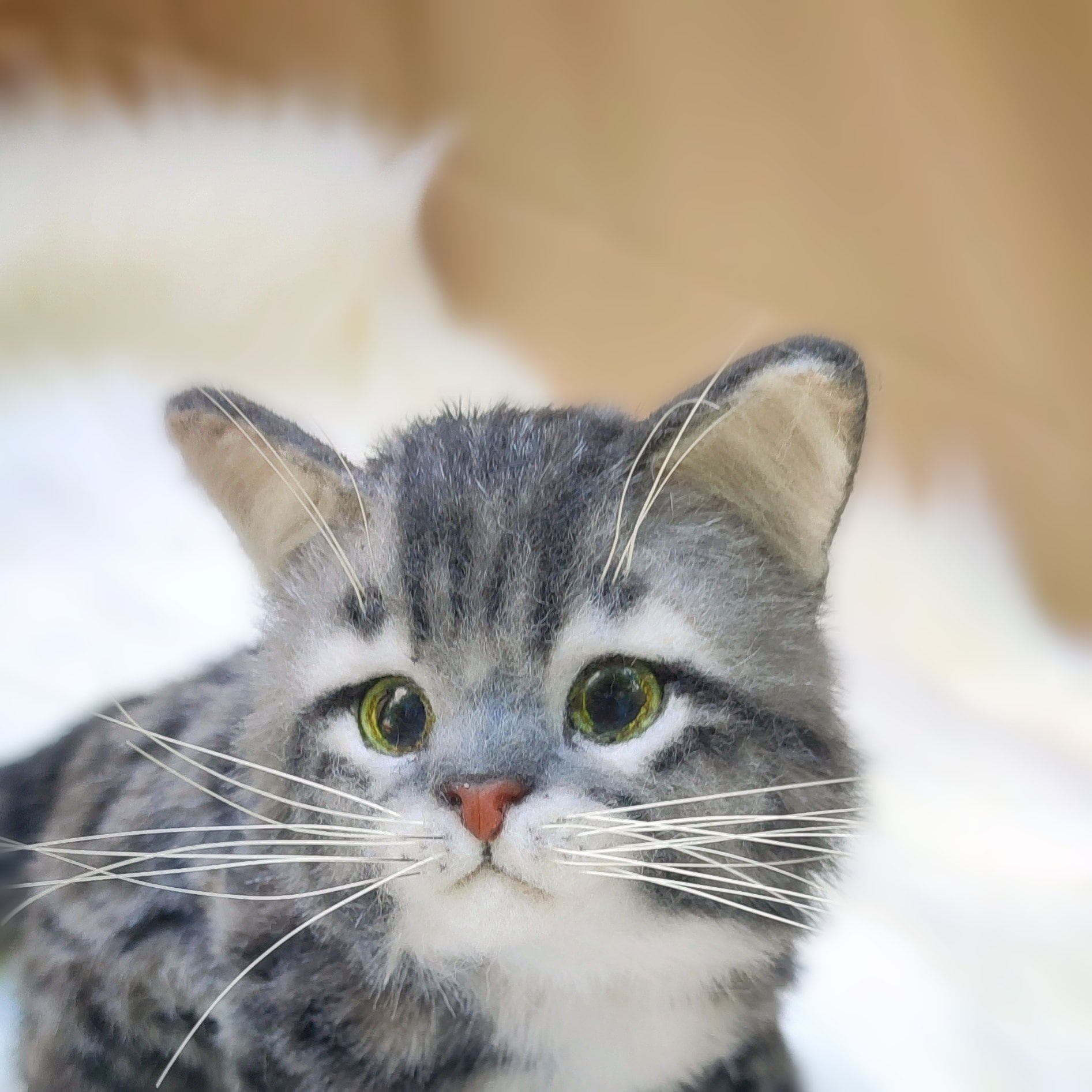 Realistic Tabby Cat