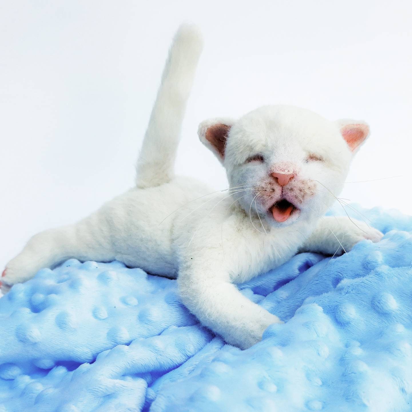 Newborn Kitten. Collectible Realistic Toy. Poseable Animals Toy ...