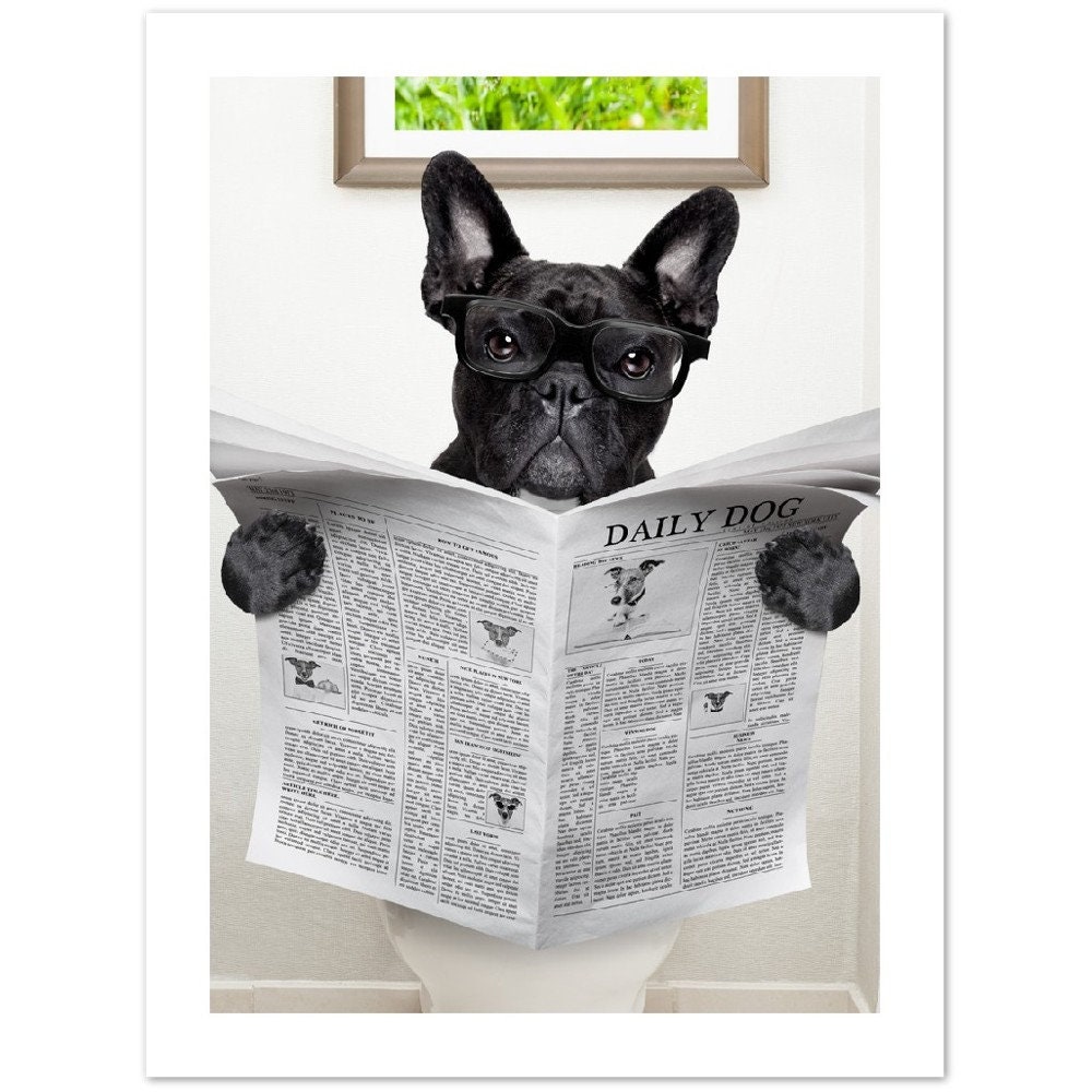 Bulldog Reading Book