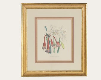 Botanical Lithograph - Etsy