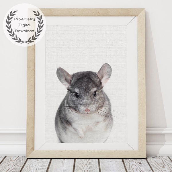 Chinchilla Art - Etsy