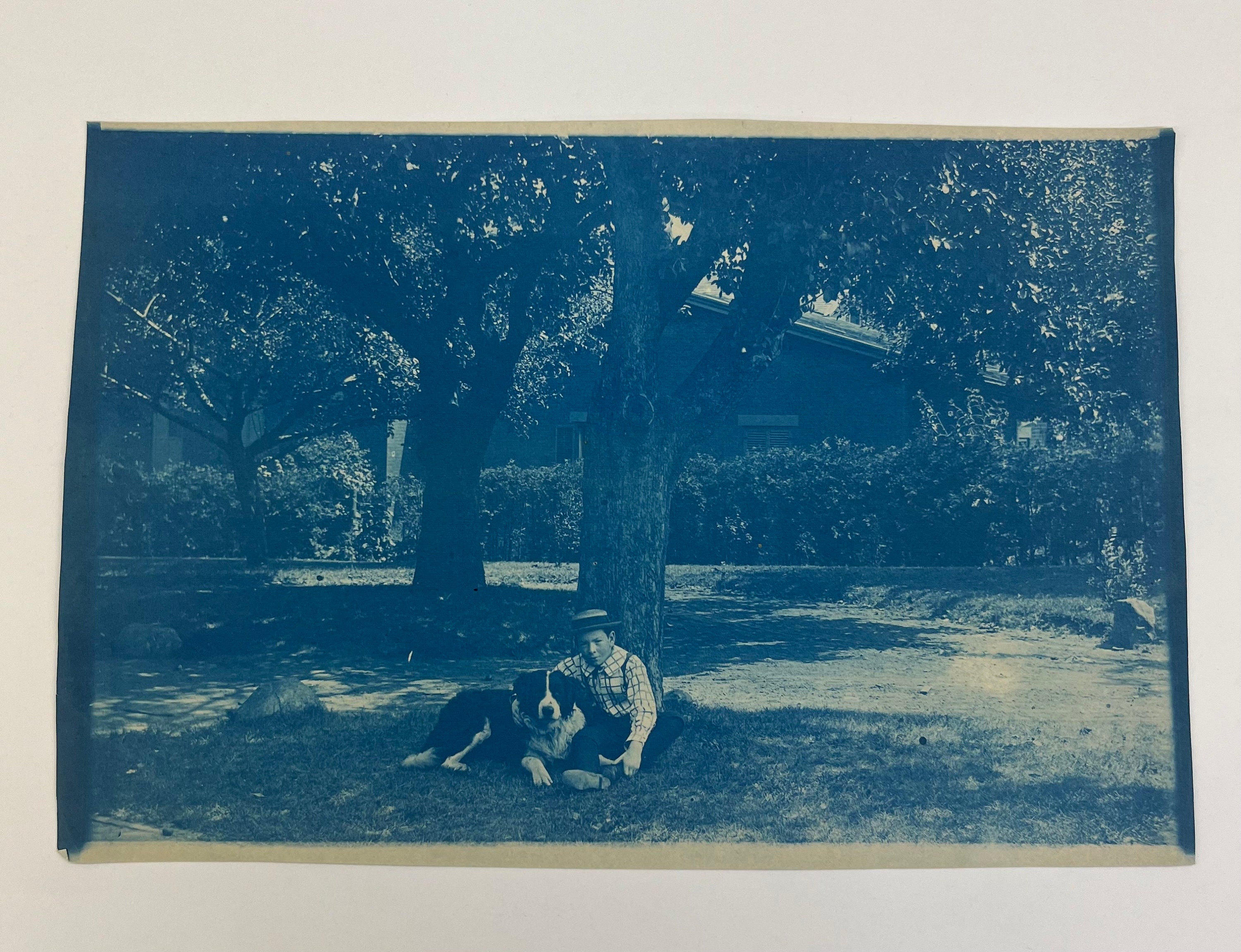 Late 1800s Vintage Cyanograph Photograph of Boy With a Dog - Etsy