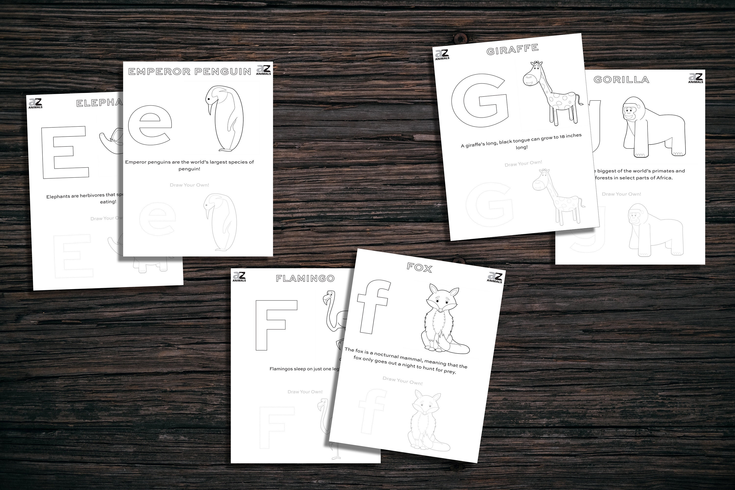 A-Z Printable Alphabet Coloring Book - Animals by Letter, Facts, 'draw ...