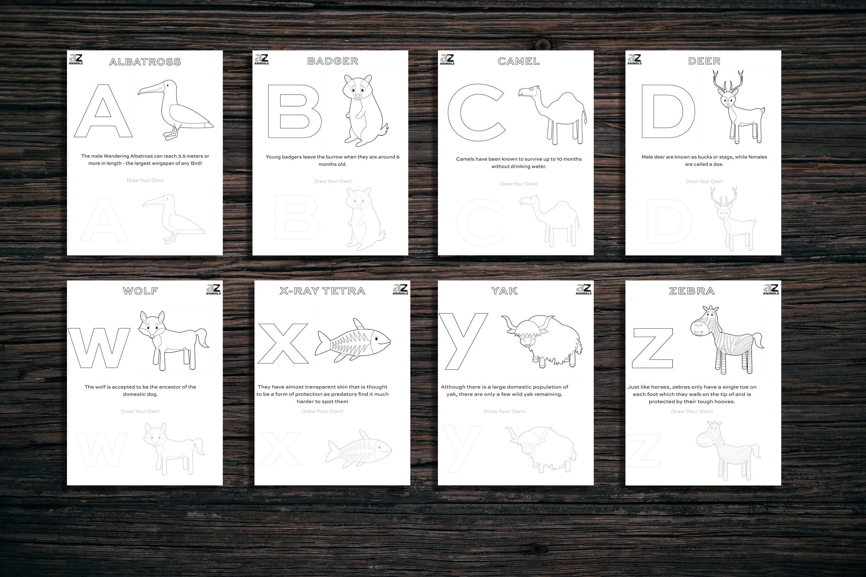 A-Z Printable Alphabet Coloring Book Animals by Letter, Facts, 'draw ...