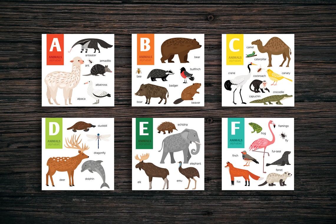 A-Z Animal Alphabet Flash Cards - Quiet Practice Cards - Kindergarten ...