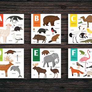 A-Z Animal Alphabet Flash Cards - Quiet Practice Cards - Kindergarten ...
