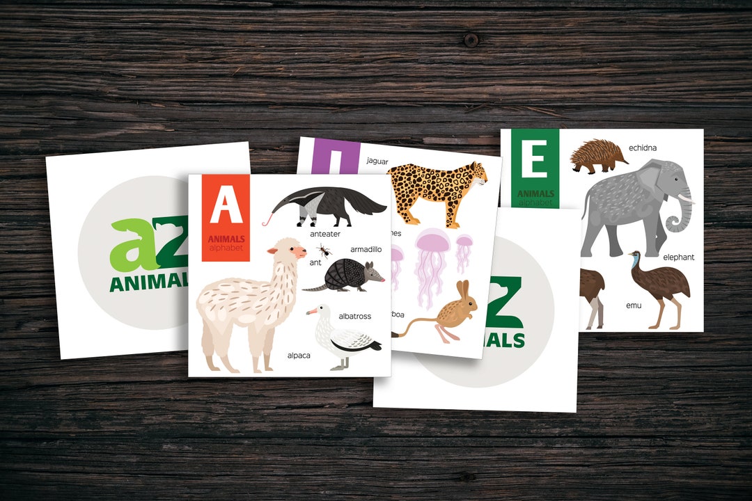 A-Z Animal Alphabet Flash Cards - Quiet Practice Cards - Kindergarten ...