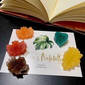 Fall Leaf Soaps Set of 5 Assorted (top Seller). (buy More From My Shop ...