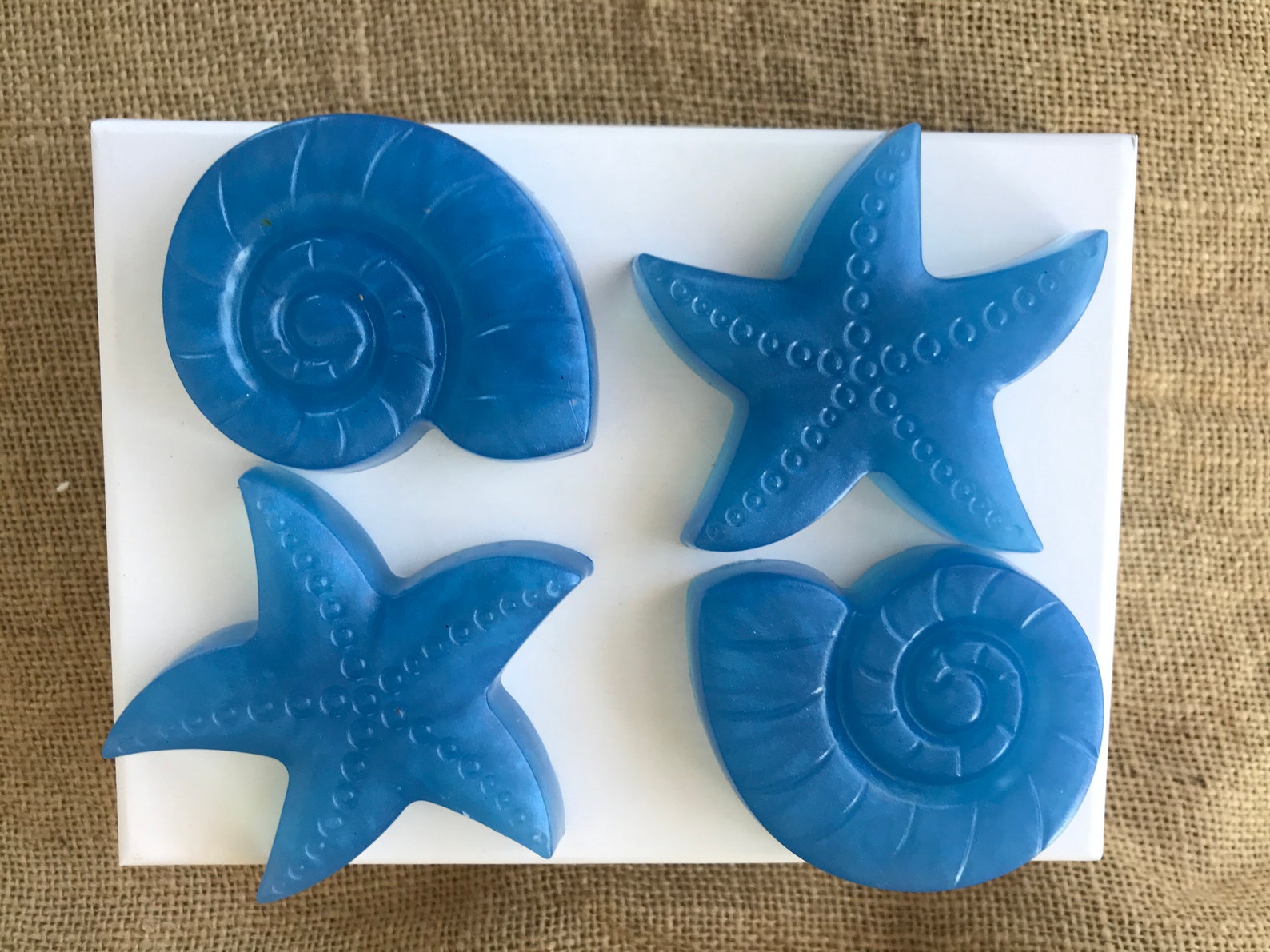 Sea Shell Soaps (set of 3). (buy More From My Shop to Save on Shipping ...