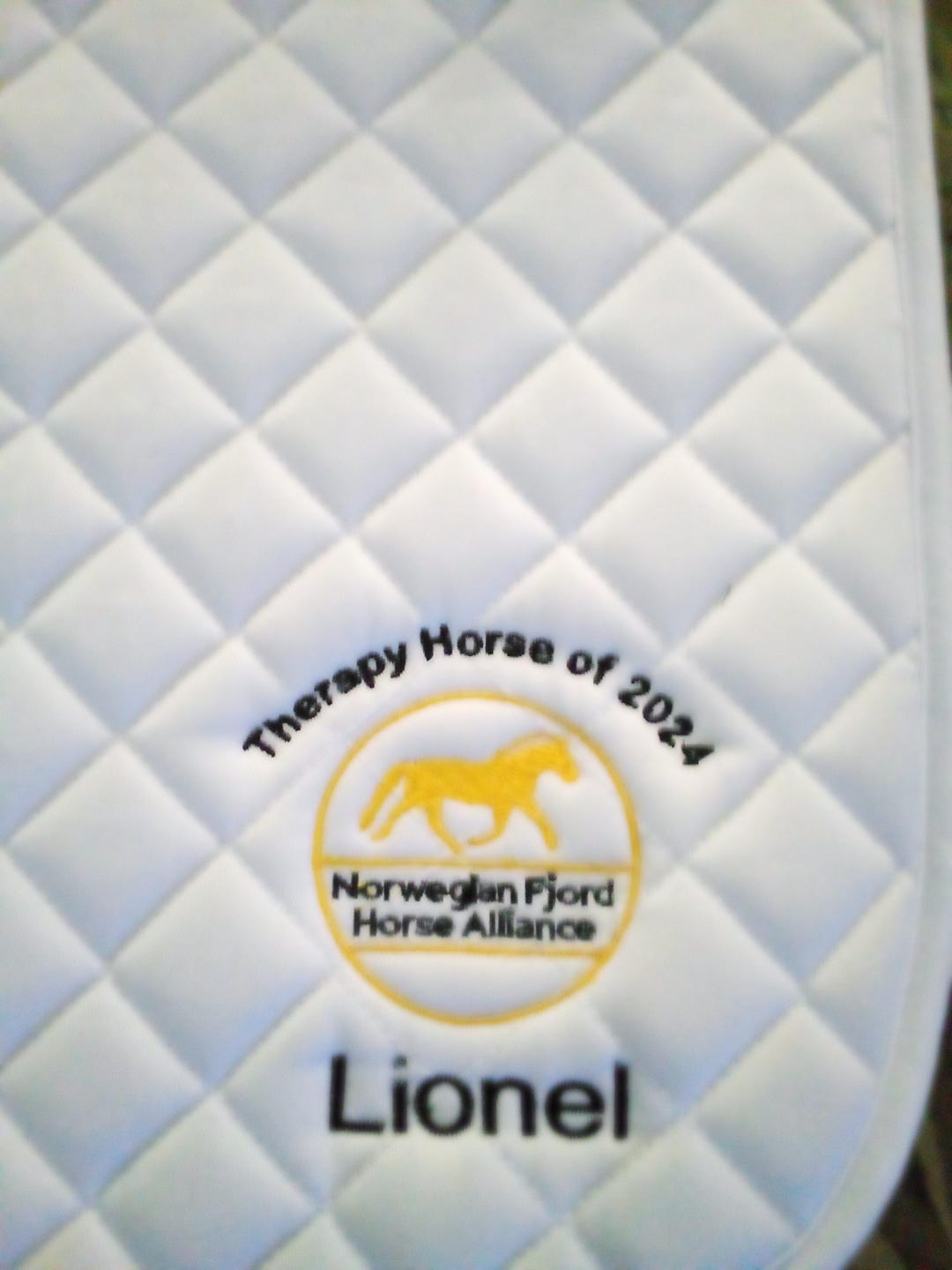 All Purpose Saddle Pad - Special Pricing - Etsy