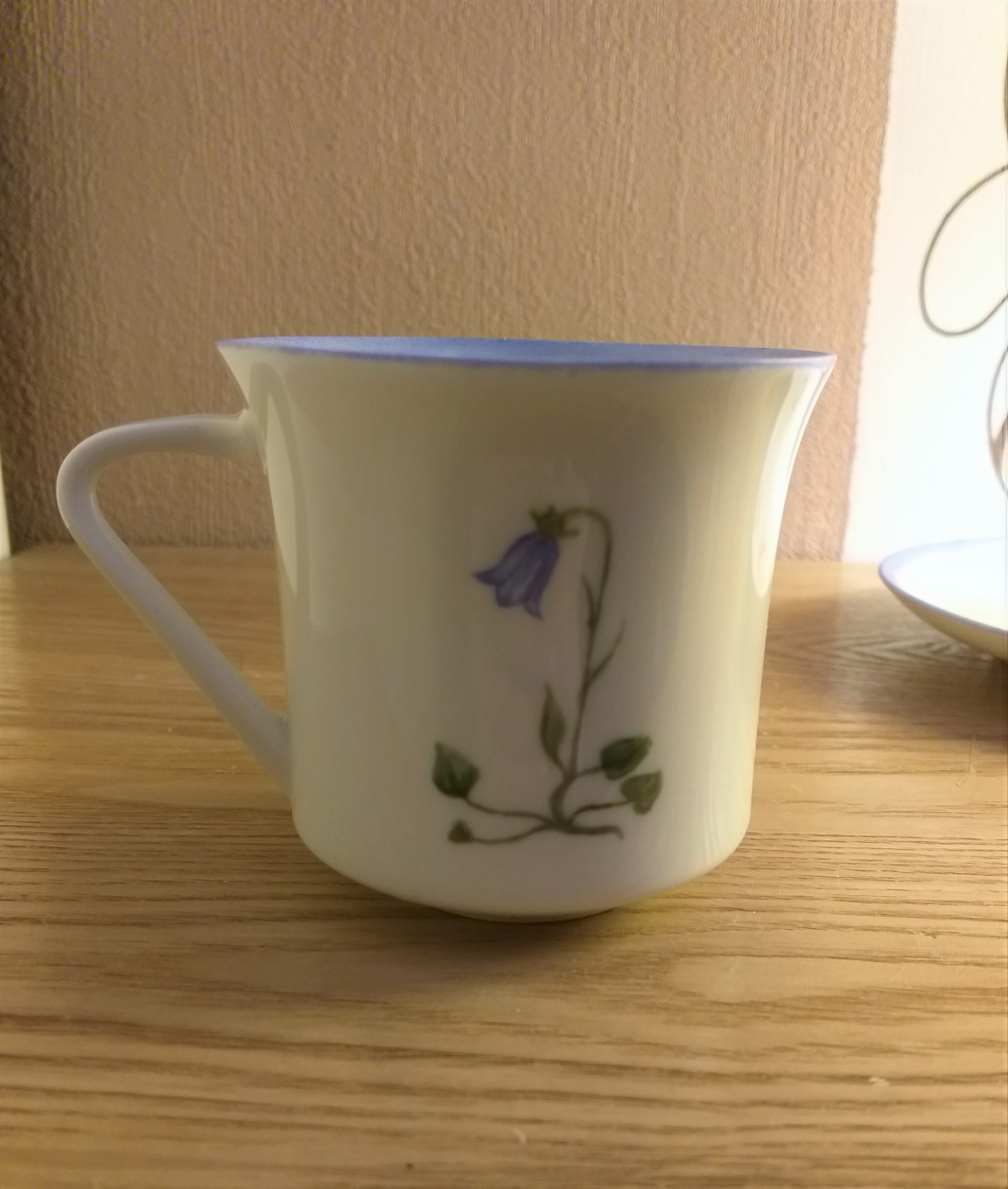 Vintage THOMAS Porcelain Tea Set With BLUEBELL Motive Germany - Etsy