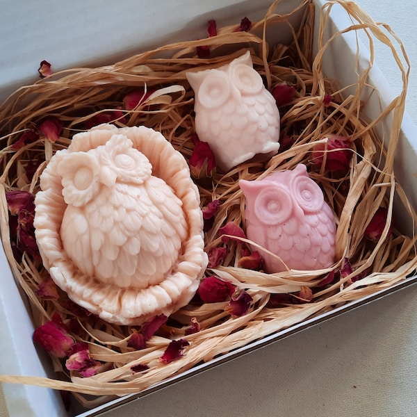 Owl Soap - Etsy