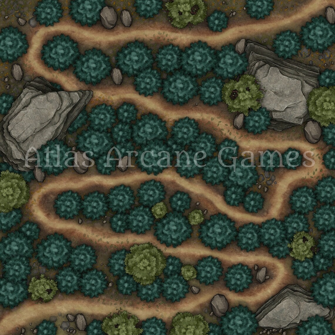 RPG Battle Map Mountain Trail Switchbacks. Fantasy Role Playing Game ...