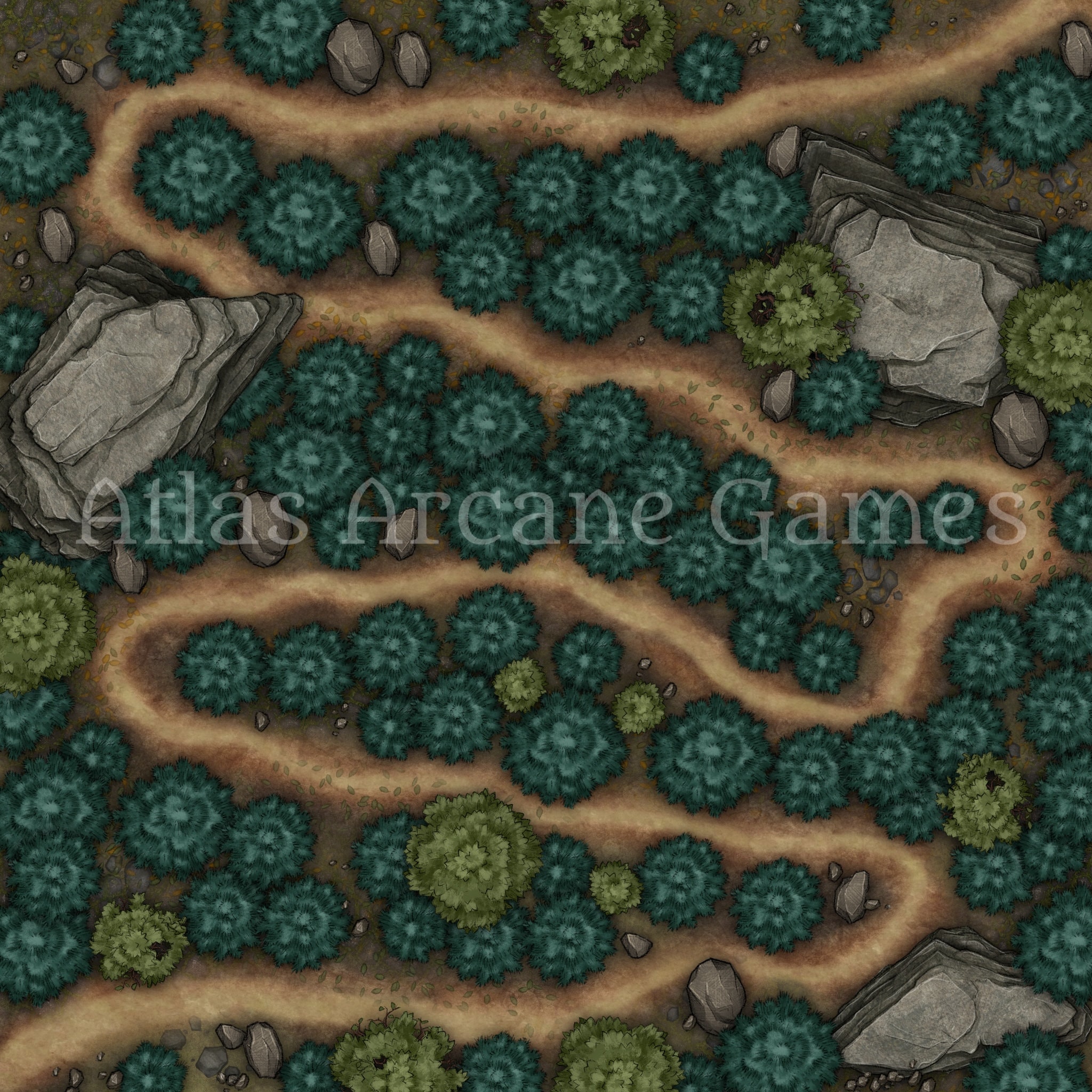 RPG Battle Map Mountain Trail Switchbacks. Fantasy Role Playing Game ...